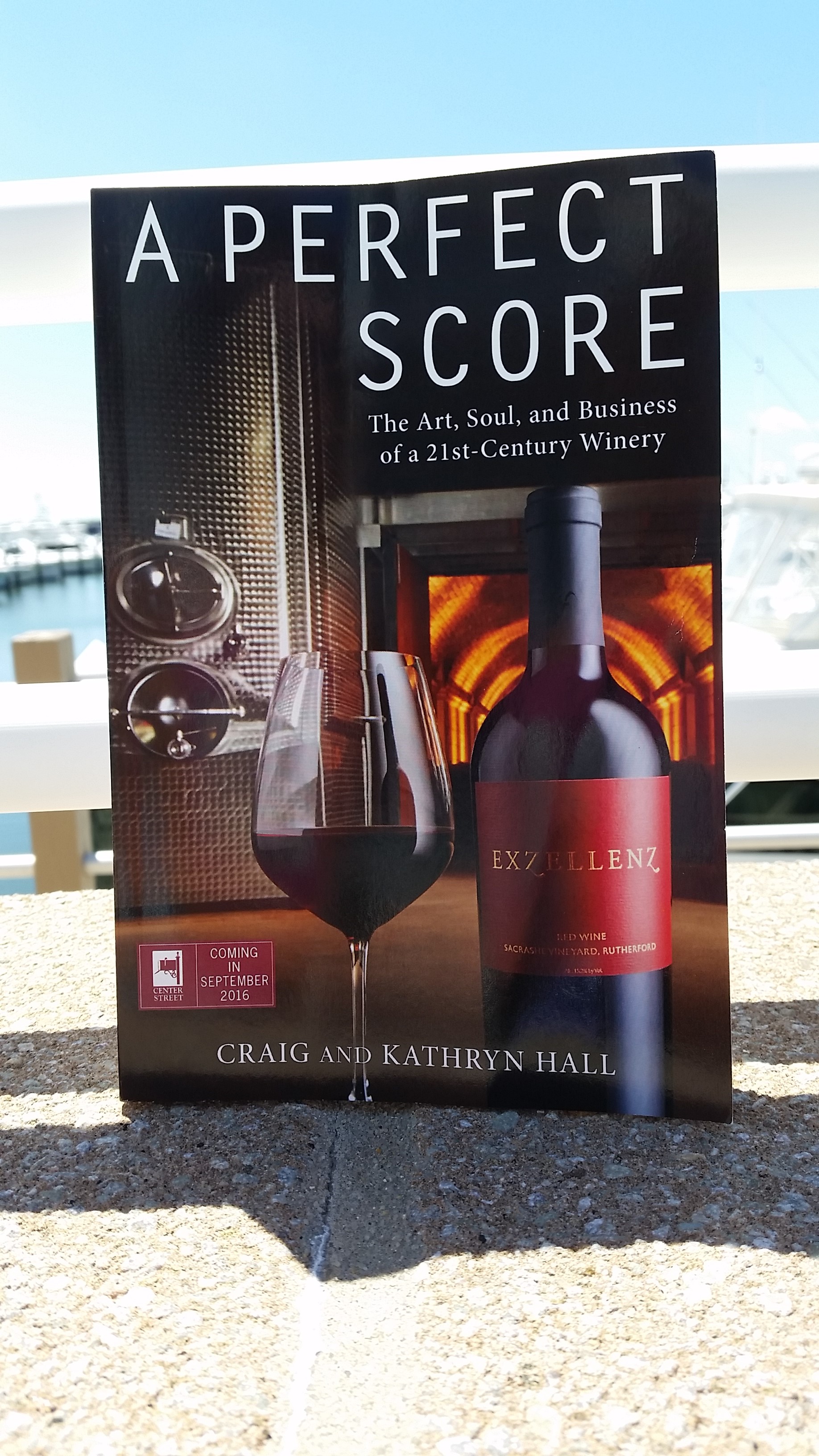 Book Review: A Perfect Score - Hudson Valley Wine Goddess
