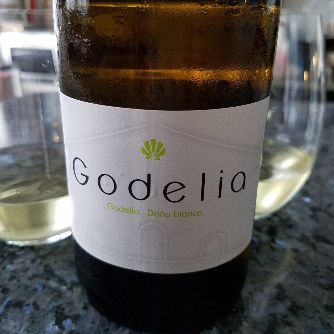 Exploring the Godello and Dona Blanca Grape with Godelia - Hudson ...