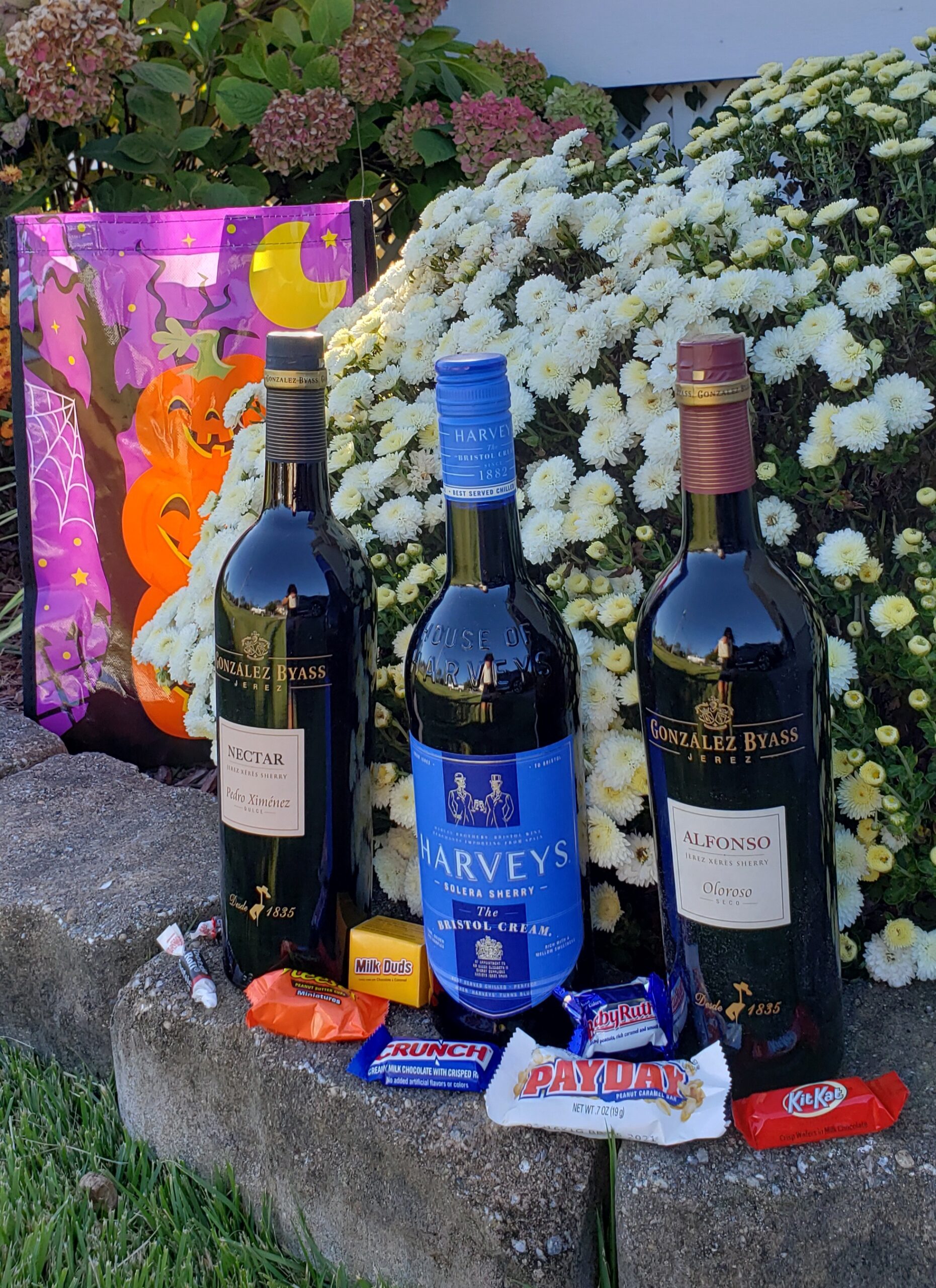 Trick or Treat & Sherry - Best Candy Pairings With Sherry - Hudson ...