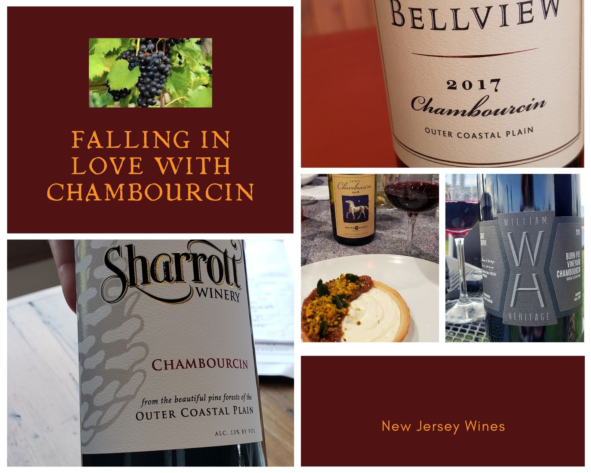 Let's Talk Chambourcin - Hudson Valley Wine Goddess