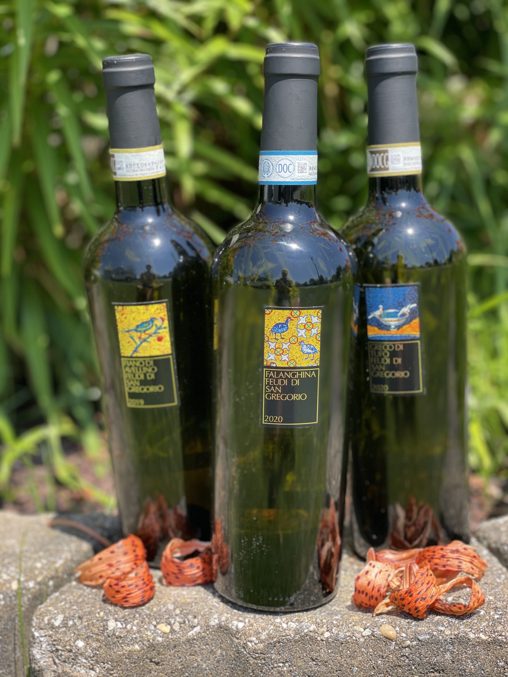 Fall into Autumn with Feudi di San Gregorio White Wines - Hudson Valley ...
