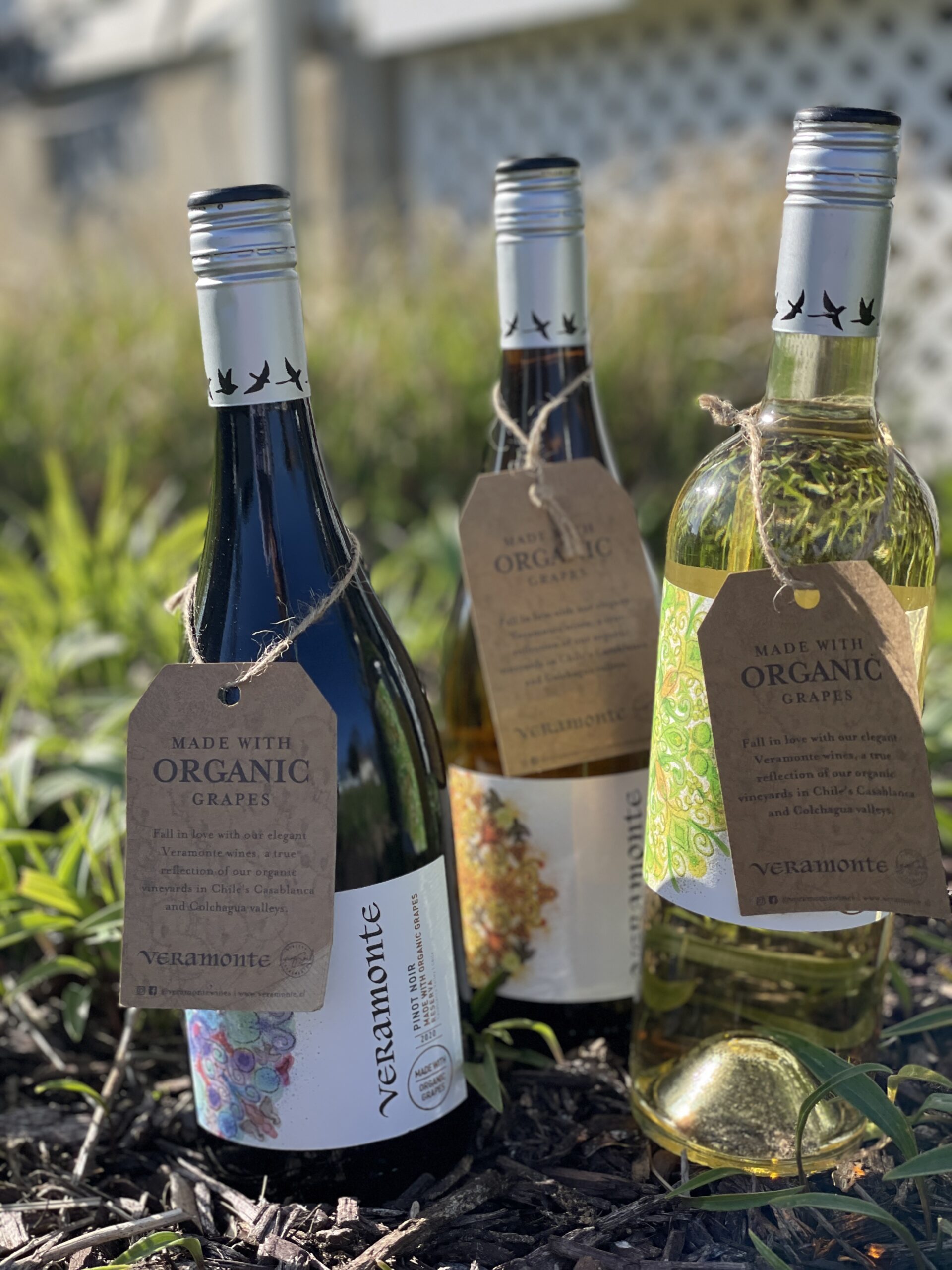 Earth Day, Veramonte Winery, and the Power of Organic Grapes - Hudson ...