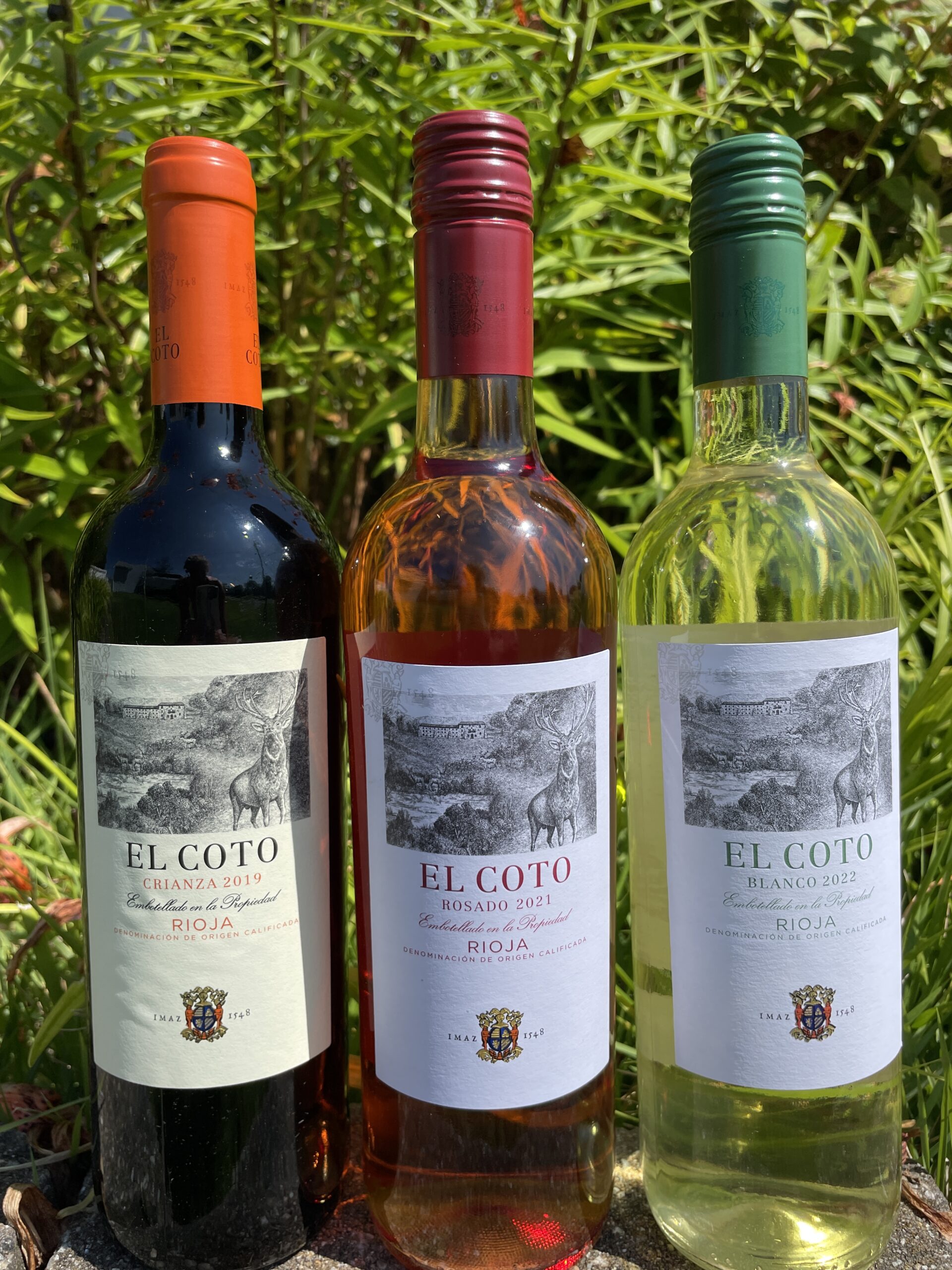 El Coto Winery: A Gem from Rioja, Spain - Hudson Valley Wine Goddess