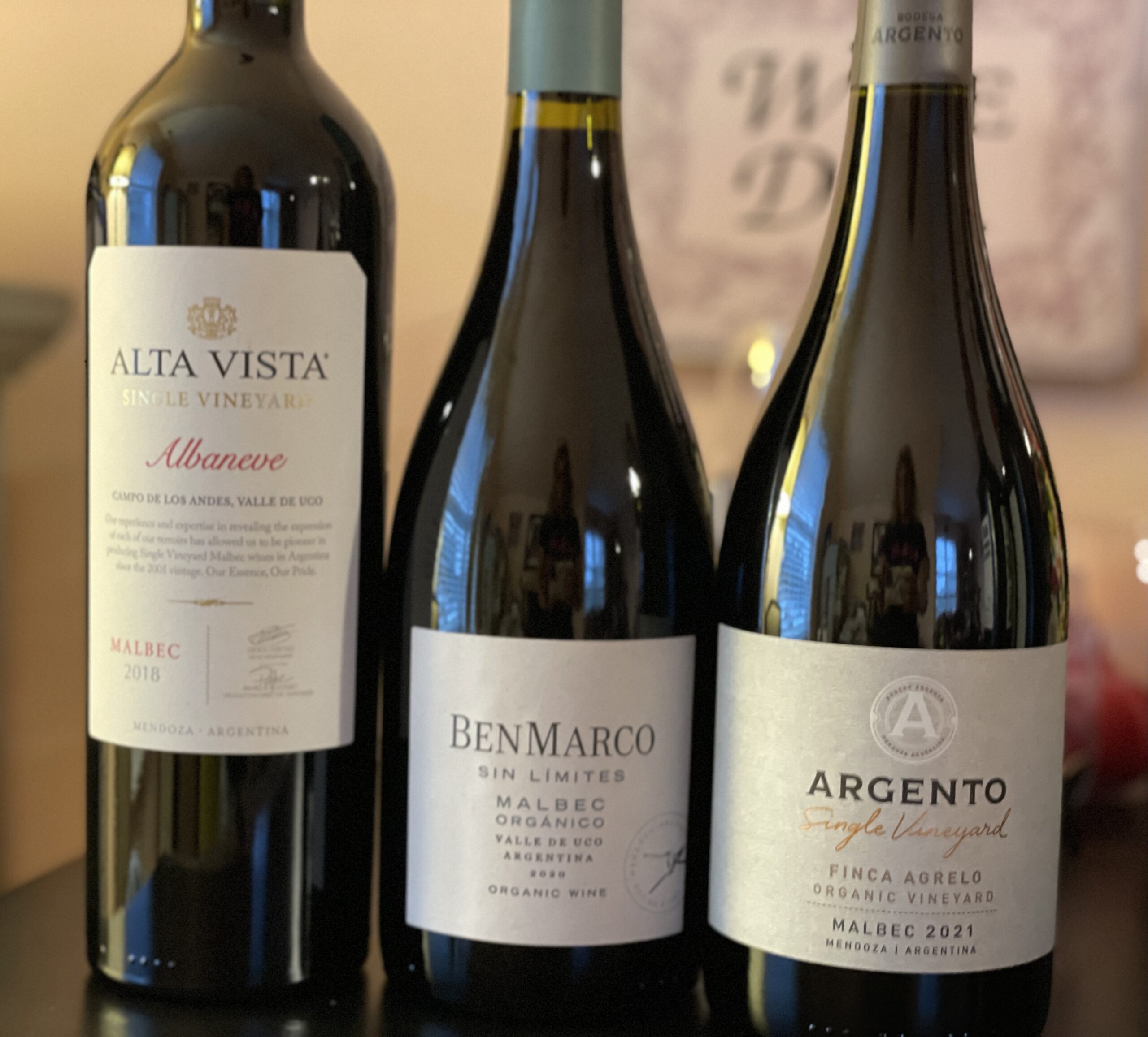 Indulge in the Virtual Journey to Argentina's Malbec Magic with ...